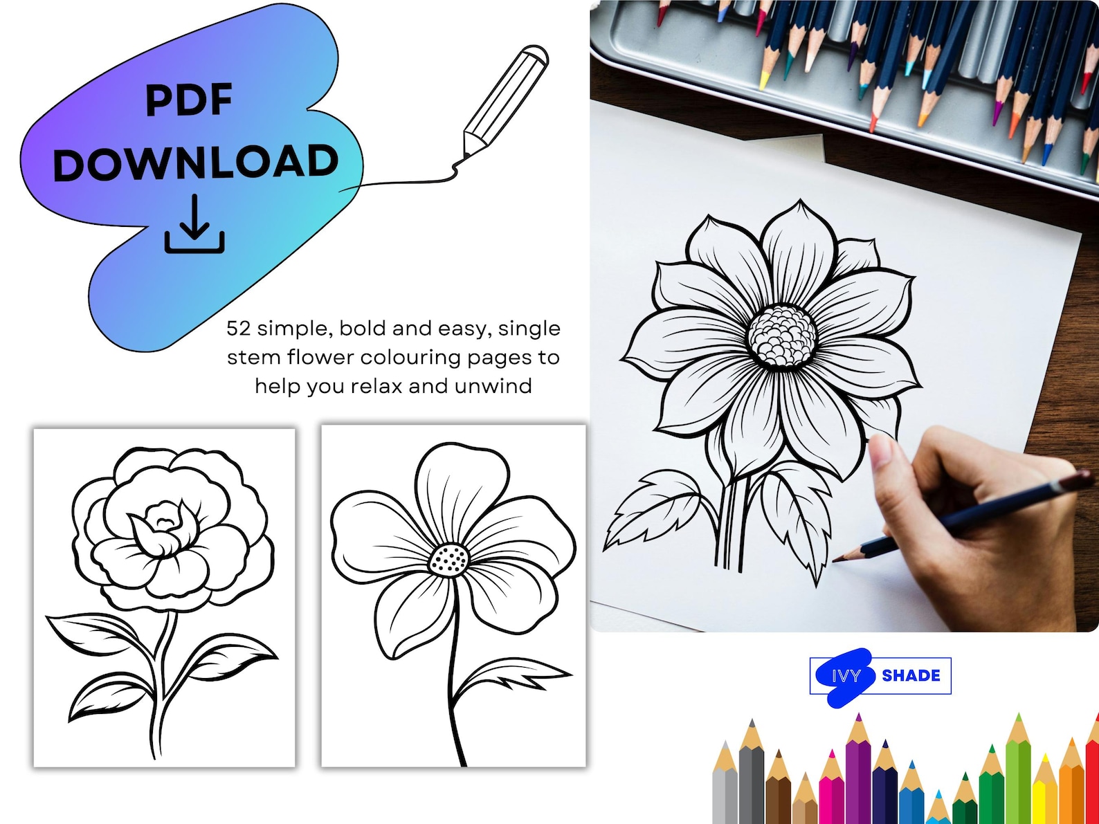52 Bold and Easy Single Stem Flower Colouring Pages | PDF Printable | A ...