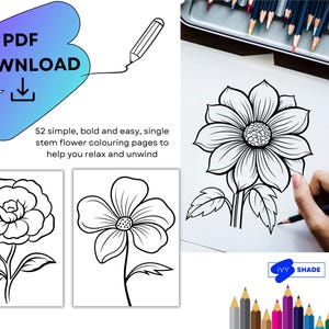 52 Flower Coloring Pages: Bold & Easy Single Stem Designs (PDF ...