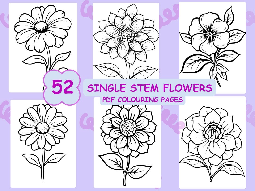 52 Bold and Easy Single Stem Flower Colouring Pages | PDF Printable | A ...