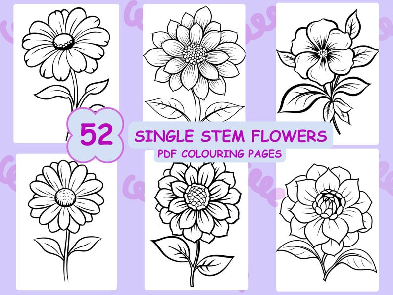 52 Bold and Easy Single Stem Flower Colouring Pages | PDF Printable | A ...