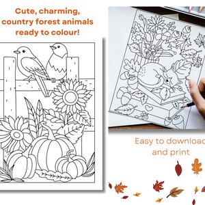 16 Outside in Autumn Cozy Coloring Pages | Cute Fall Aesthetic PDF ...