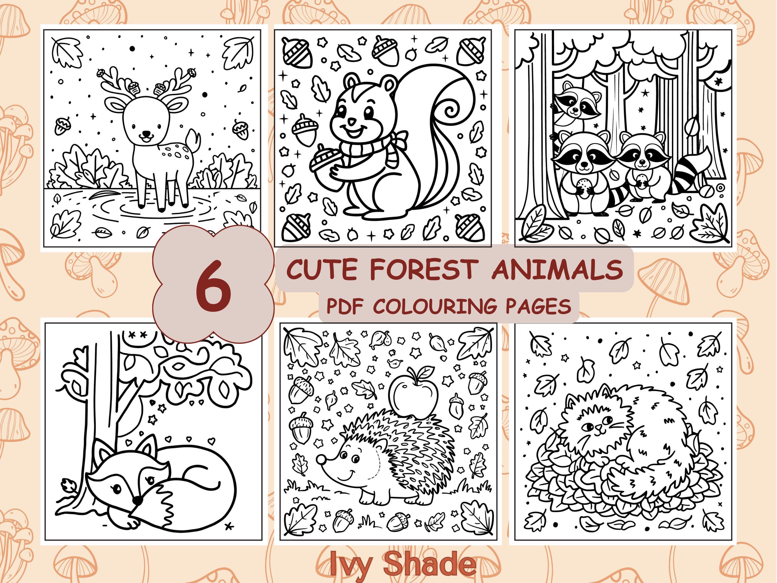 6 Bold and Easy Cute Animal Coloring Pages | Fox Cat Squirrel Racoon ...