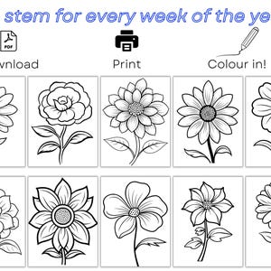 52 Bold and Easy Single Stem Flower Colouring Pages | PDF Printable | A ...