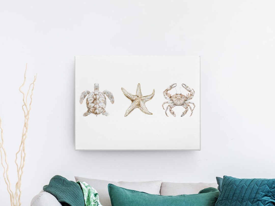 Sea Life CANVAS Wall Art, Coastal Decor Wall Art, Sea Life Beach Home ...