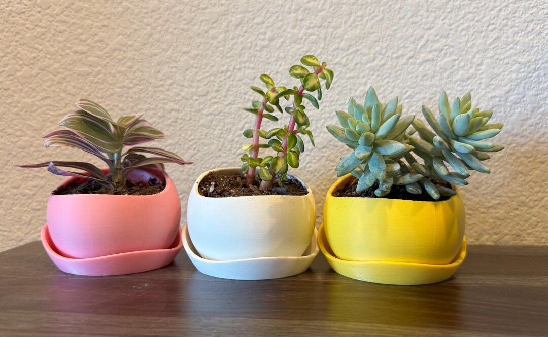 Set of 3 Mini Planters With Drainage & Tray – Small Succulent Pots ...