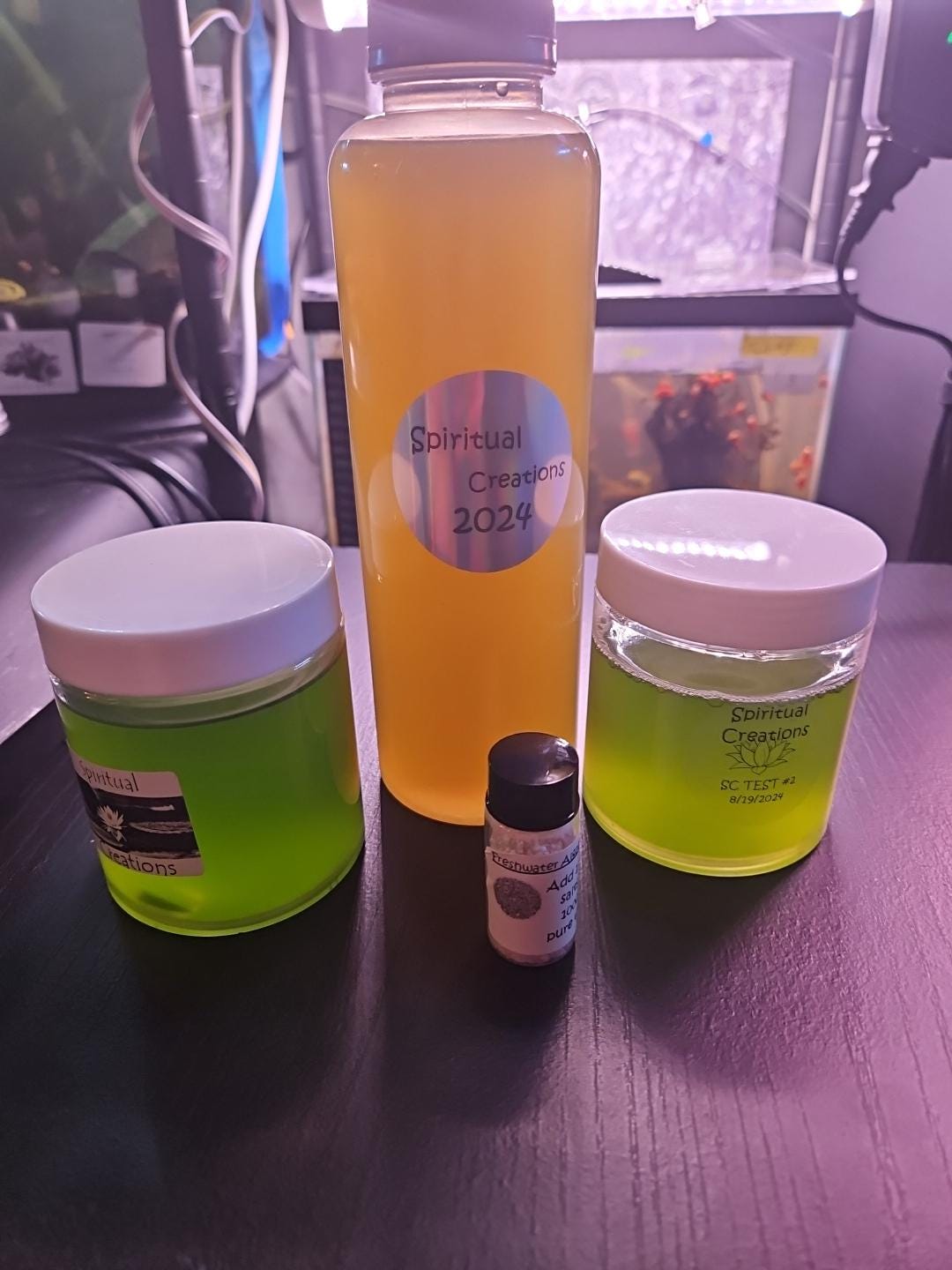 Live Chlorella Vulgaris Cultures, Varying Sizes PURE Lab Raised Perfect ...