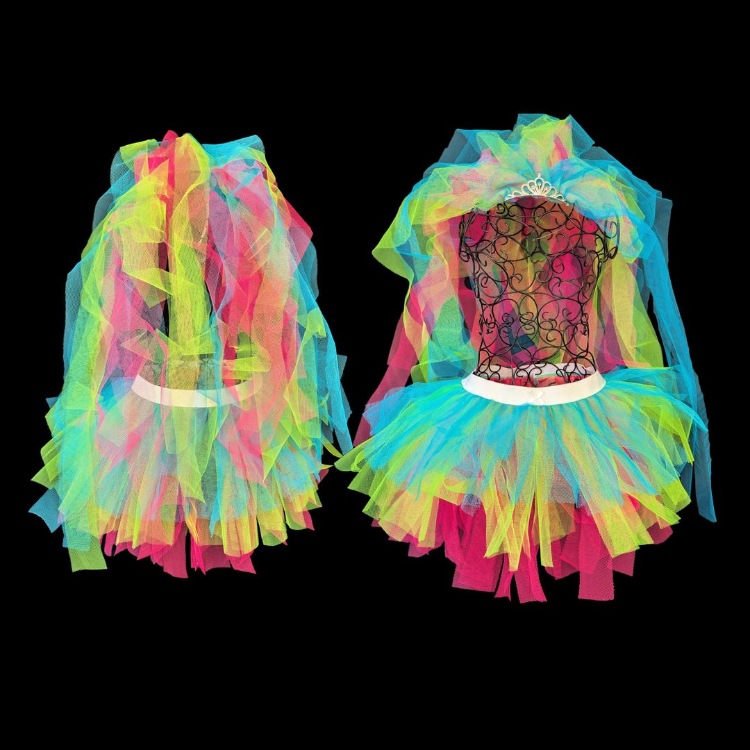 Neon Bride Tutu & Veil Set: 80s Hen Party Outfit - Etsy