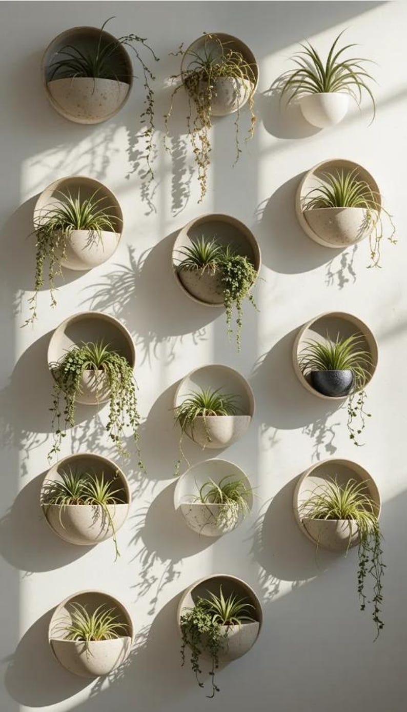 Circular Wall Planter 3D Print STL File (digital Download) - Etsy