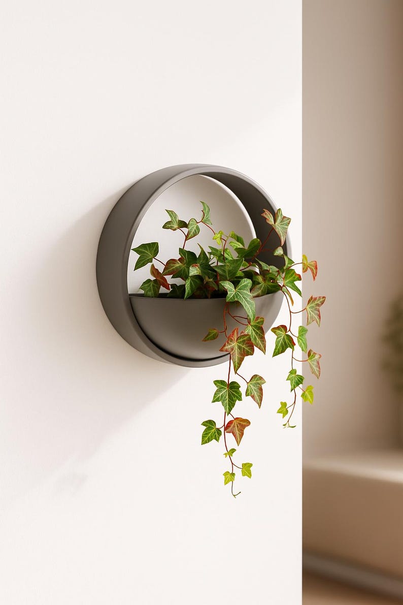 Circular Wall Planter 3D Print STL File (digital Download) - Etsy