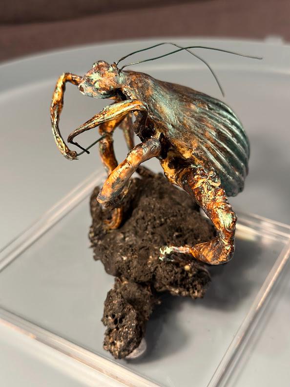 Iridescent Insect Bug Sculpture Display Piece Handmade - Etsy