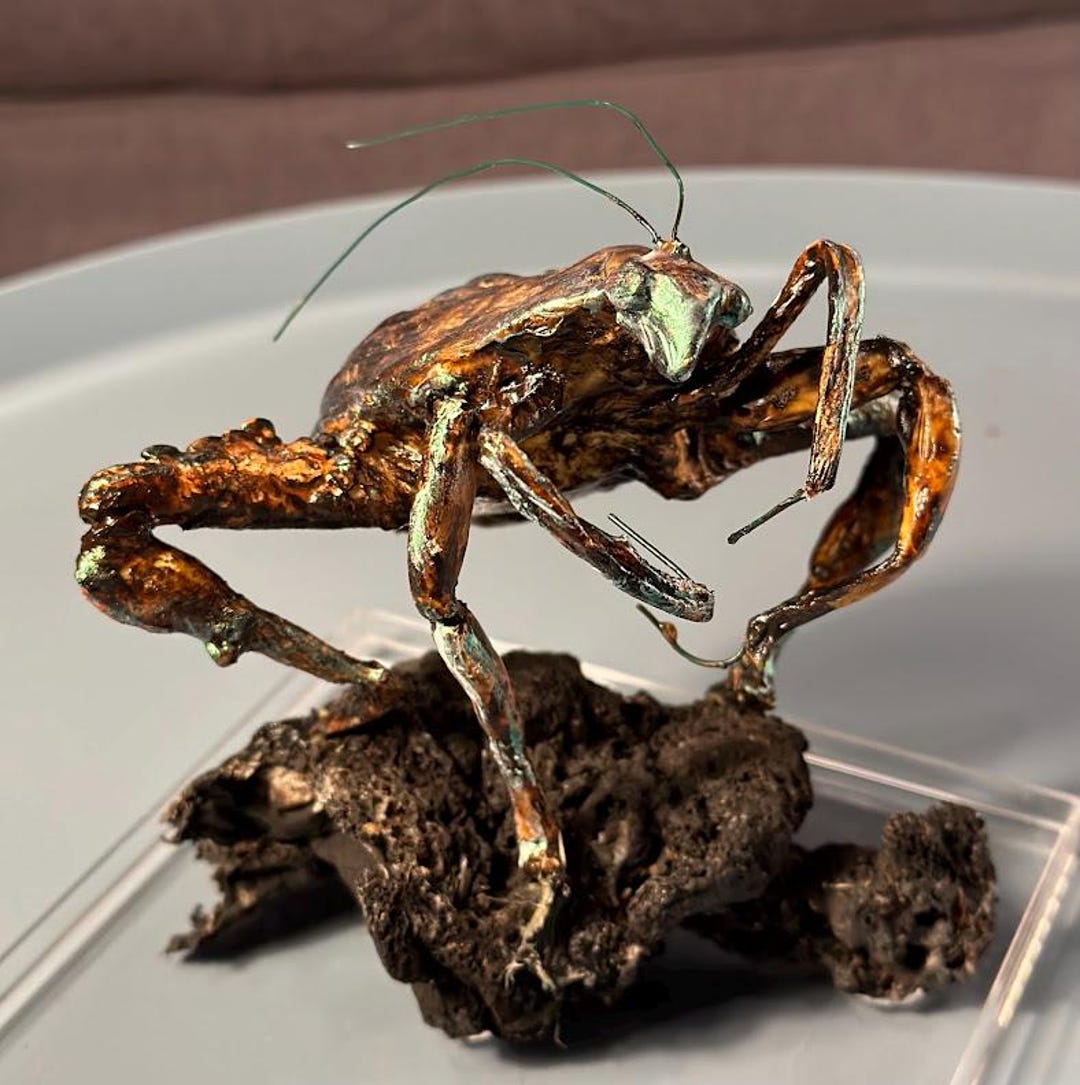 Iridescent Insect Bug Sculpture Display Piece Handmade - Etsy