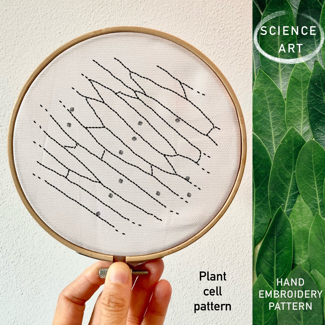 Plant Hand Embroidery Pattern Guide Pdf, Science Embroidery, Botanical ...