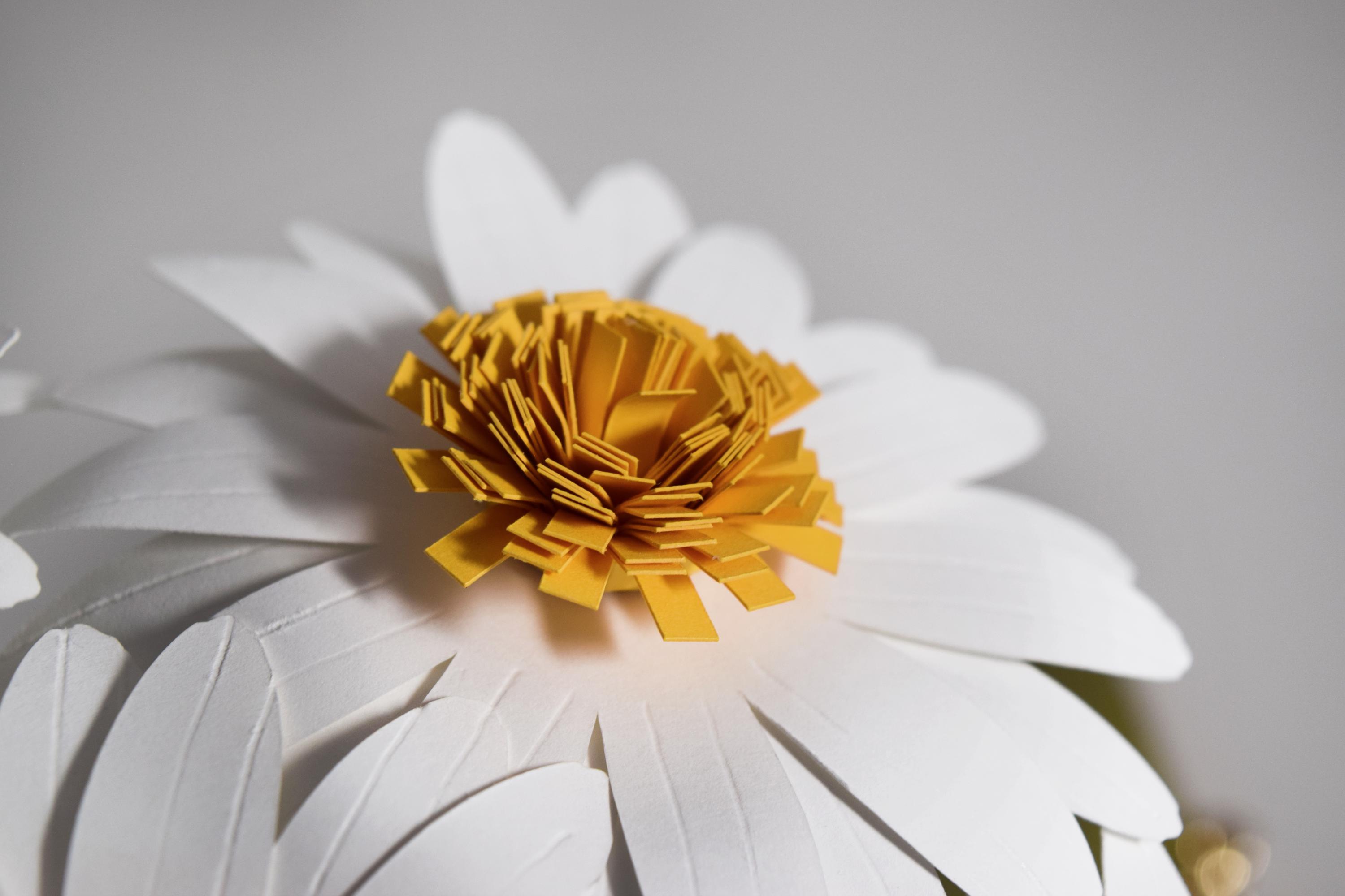 Daisy Stem Paper Flowers, Handmade for Natural Home Decor, Build Your ...