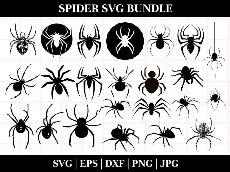 Spider SVG Bundle, Instant Digital Download, PNG, SVG Cut Files - Etsy