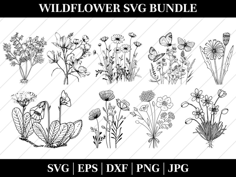 Wildflower Svg Bundle, Flower Meadow Svg, Flower Border SVG, Minimalist ...