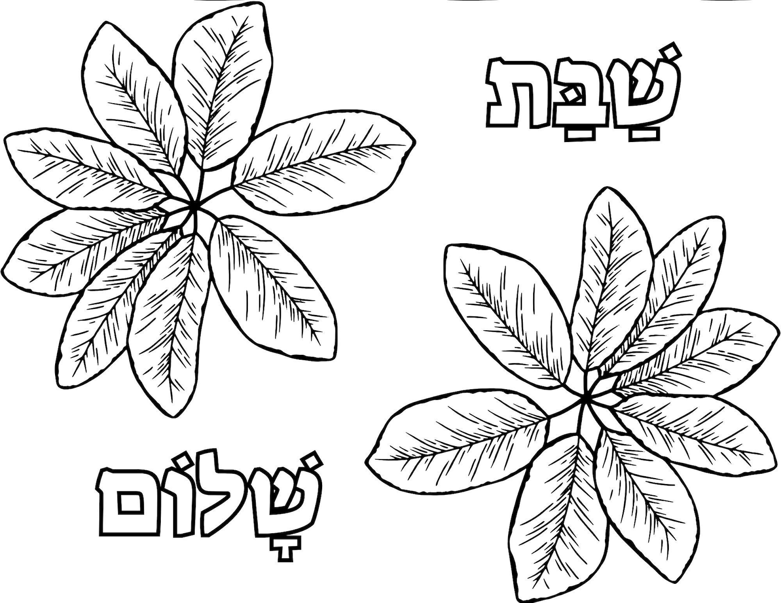 Shabbat Shalom Coloring Page | Printable Placemat | Black & White ...