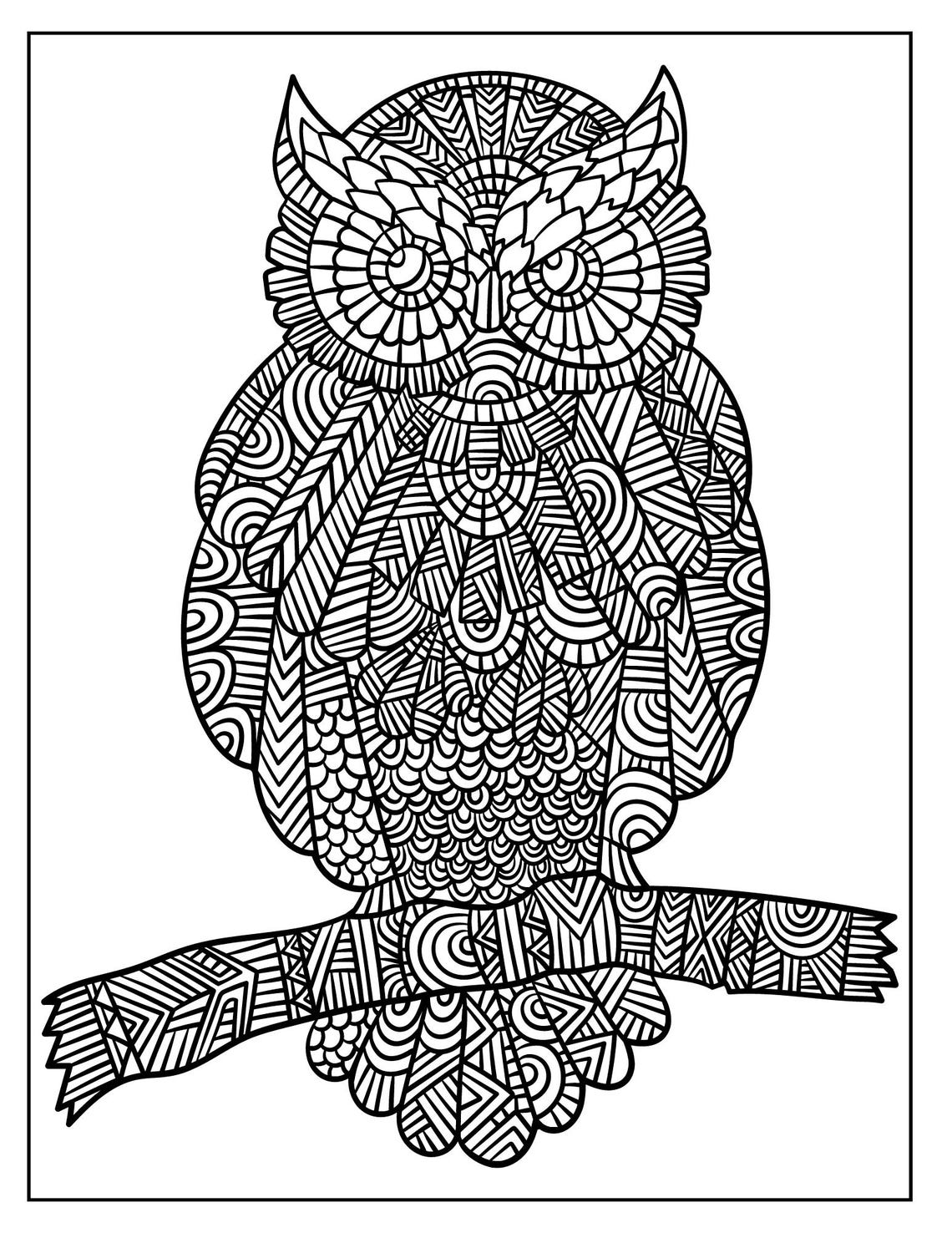 Adult Animal Coloring Book - Etsy