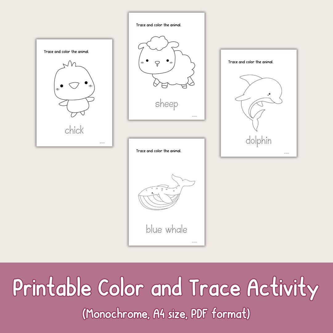 Printable Color & Trace Activity Land and Marine Animals - Etsy