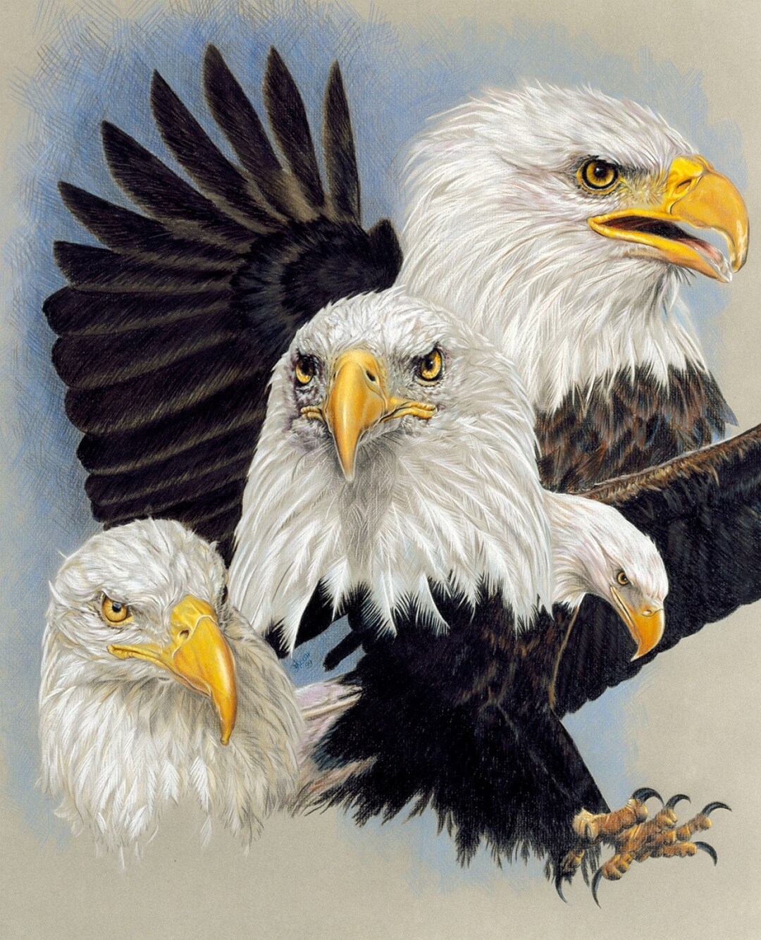 35 Fabric Panel David Textiles Digital Valor Four - Etsy