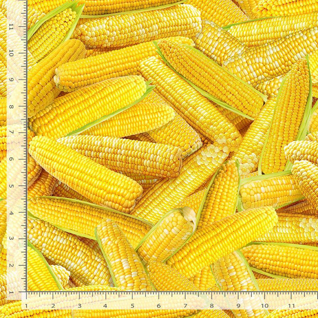 Food Fabric | Packed Corn Cob Yellow | Timeless Treasures YARD - Etsy