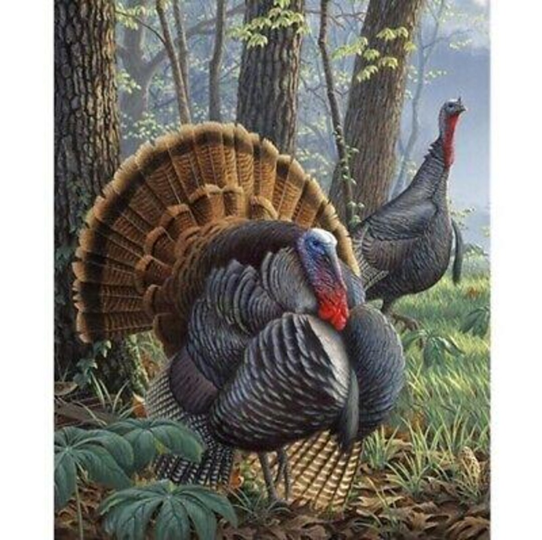 35" Fabric Panel - David Textiles Digital Wild Turkey Nature Scene - Etsy