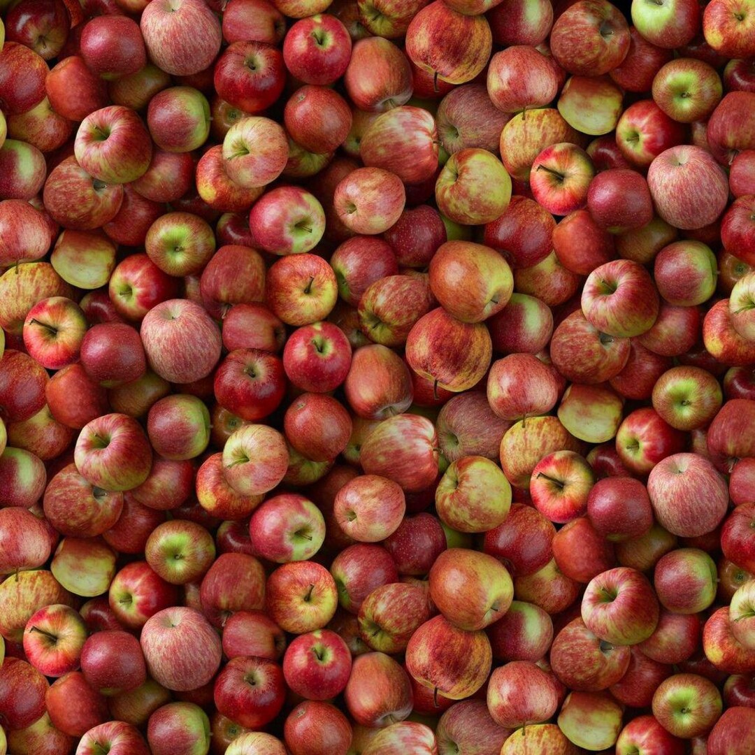 Food Fabric | Packed Apples Fruit Red | Timeless Treasures YARD - Etsy