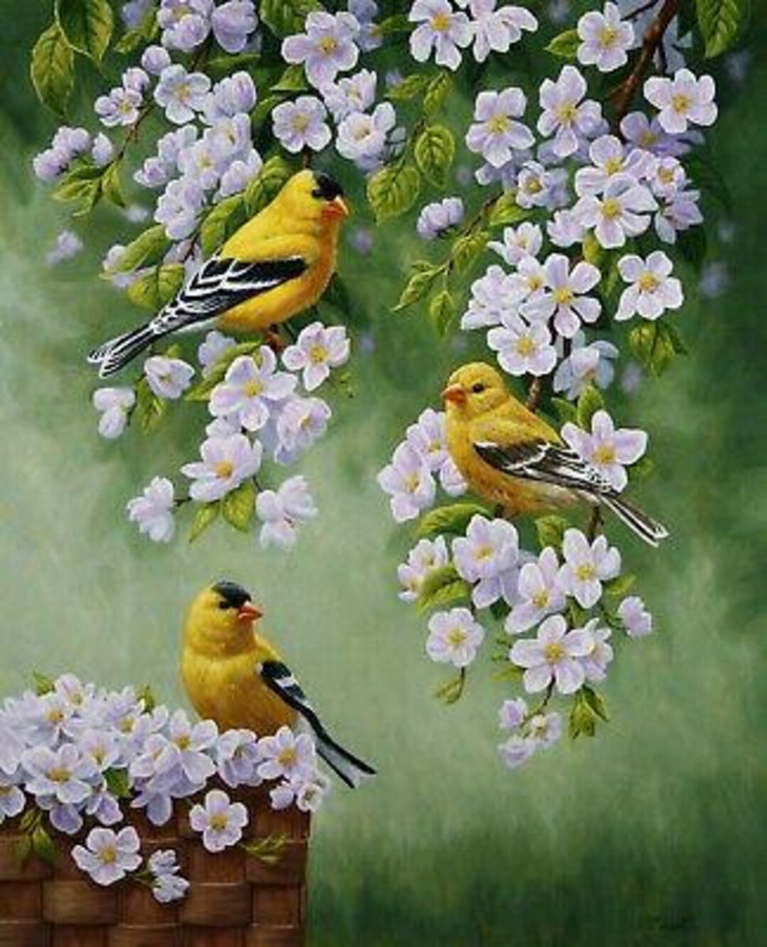 35 Fabric Panel David Textiles Digital Goldfinch & Flower Blossom Scene ...
