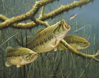 Bass Fish Fabric | Etsy