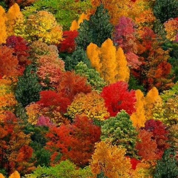 Landscape Scene Fabric - Etsy