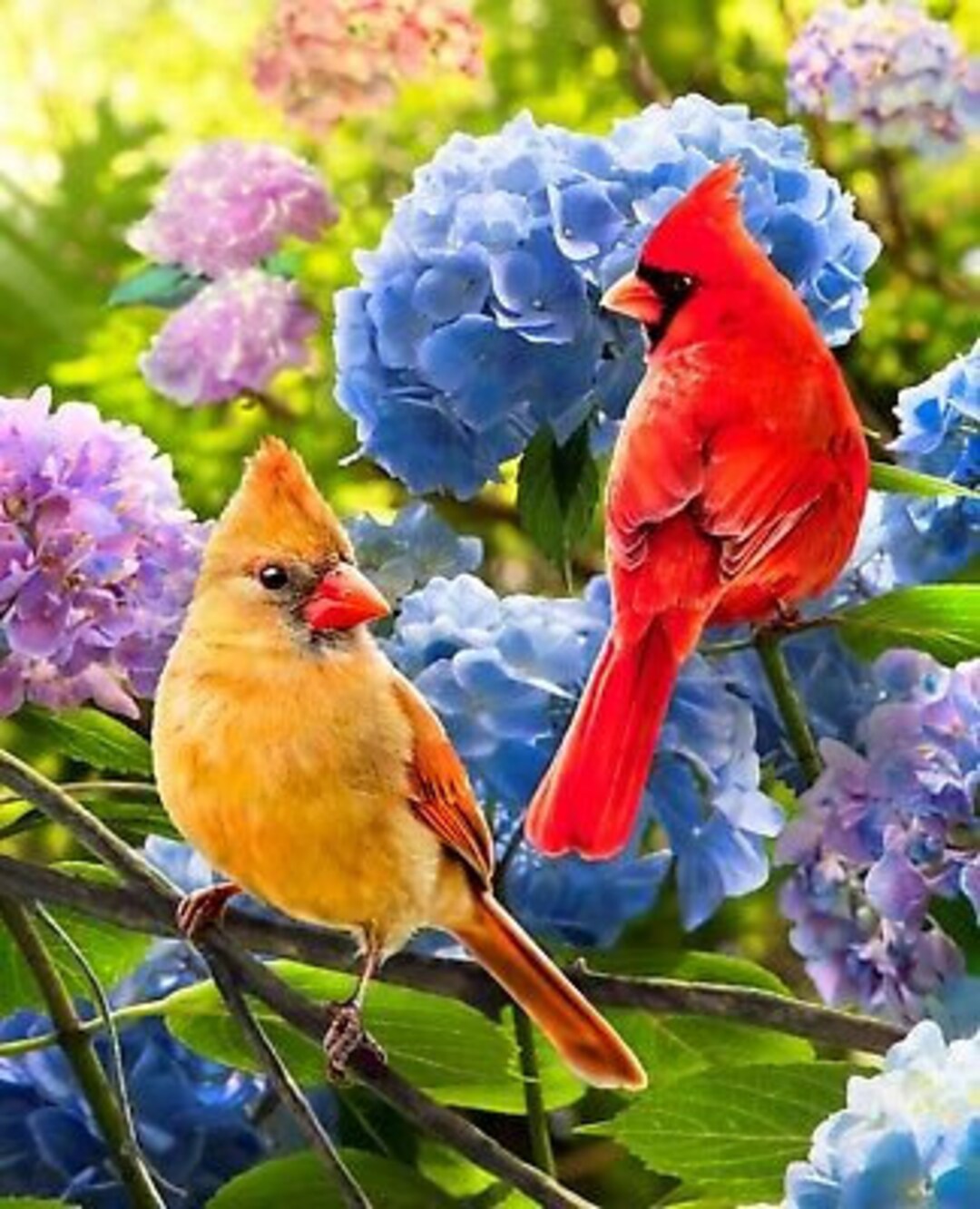 35 Digital Fabric Panel David Textiles Red Cardinal - Etsy