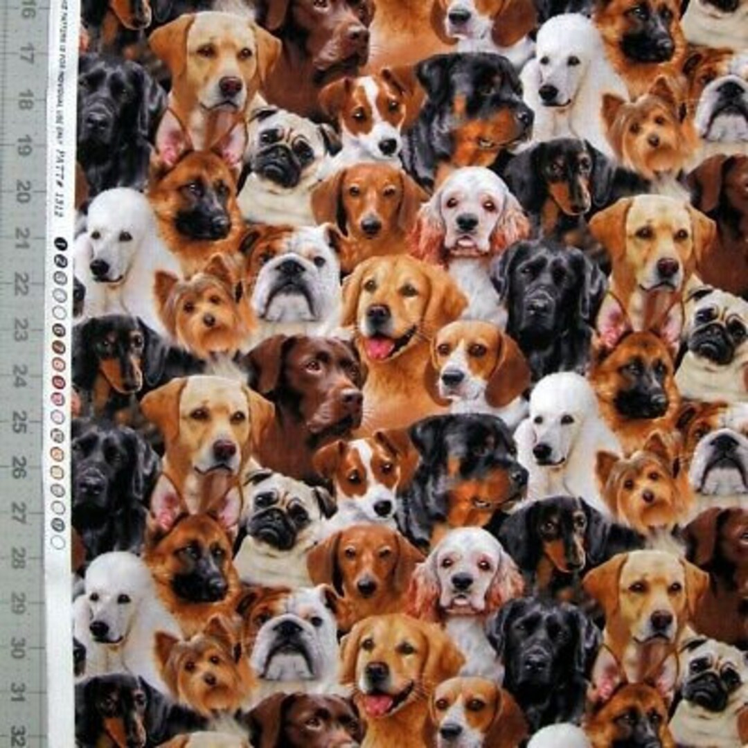 Animal Fabric Dog Breeds Packed Faces 1312 Black - Etsy