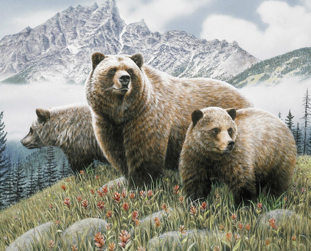 35" Fabric Panel | David Textiles Digital Bears in Mountains Spring ...