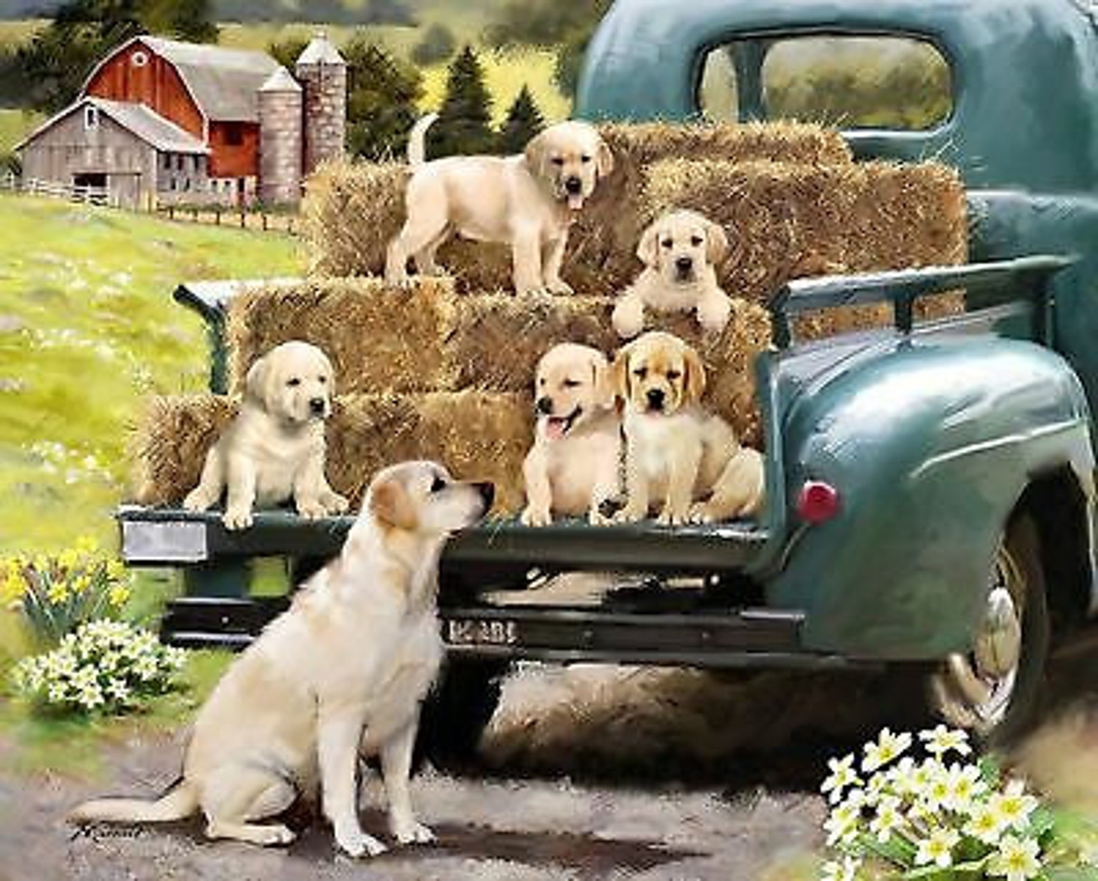 35 Digital Fabric Panel David Textiles Farm Truck & - Etsy