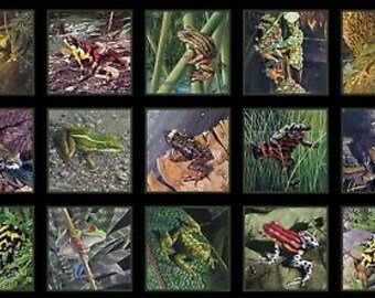 23 Fabric Panel Elizabeth's Studio Farm Animals Sheep Pig Cow Blocks ...