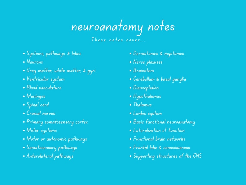 Neuroanatomy Notes | High-yield Neuro Study | Nervous System Notes ...