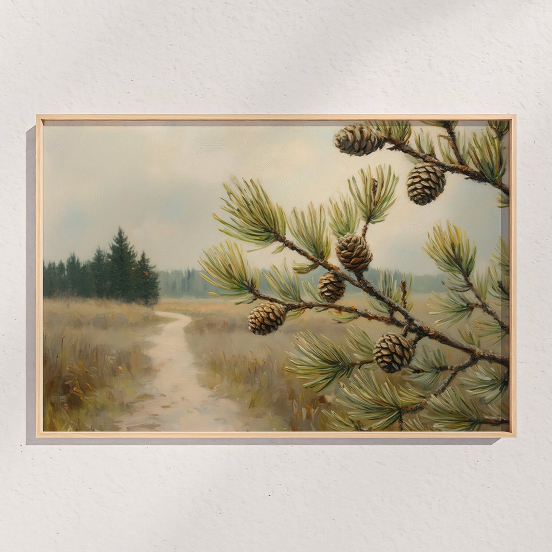 Pine Cone Trail | Close up Pine Branches | Moody | Hiker's Trail | Path ...