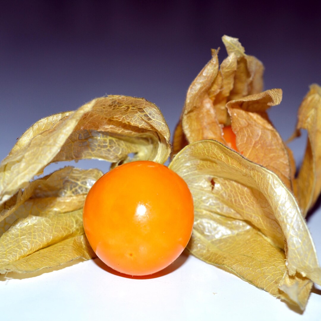 Organic Pineapple Tomatillo Seeds (physalis Philadelphica) – Sweet and ...