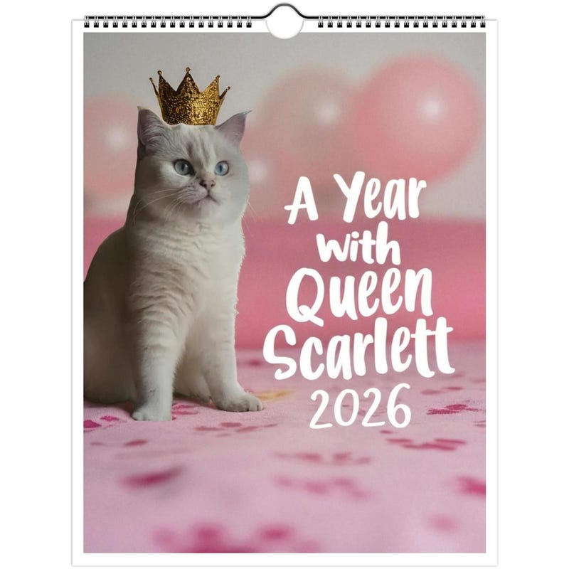 Cat Calendar - Etsy