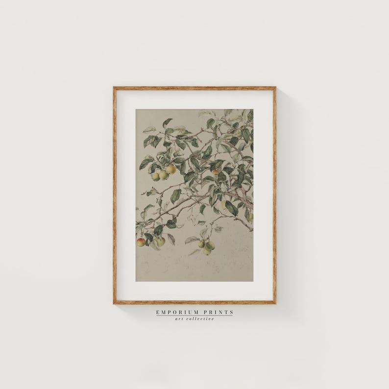 Vintage Apple Botanical Print: Farmhouse Kitchen Art (digital Download ...