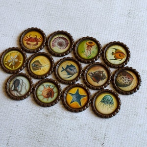 Nautical Bottlecap Magnets- Ocean Decor- Sea Life- Nautical, Ocean, Sea ...