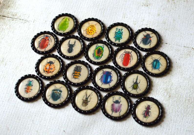 Insect Bottlecap Magnets Bugs Beetle Lady Bug Bee Ant - Etsy
