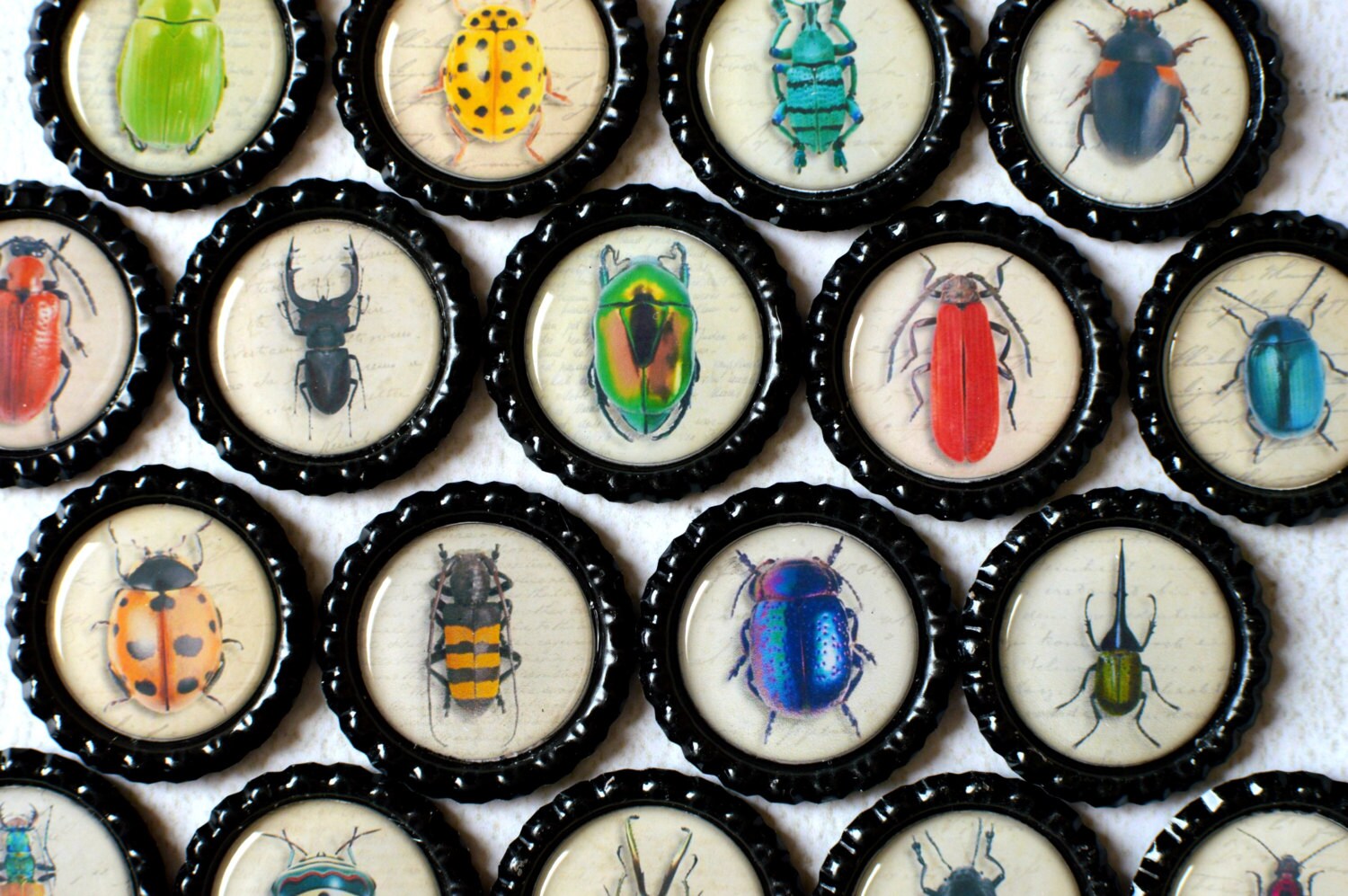 Insect Bottlecap Magnets Bugs Beetle Lady Bug Bee Ant - Etsy
