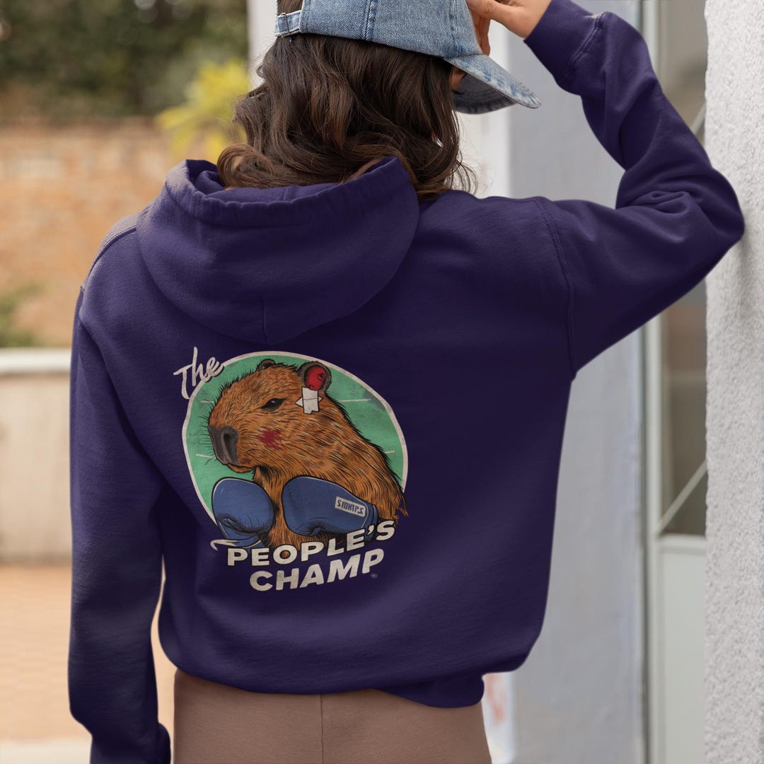 Capybara Hoodie, Boxing Hoodie, Fun Boxing Capybara Sweatshirt, Cozy ...