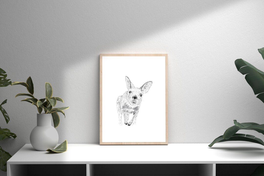 Curious Kangaroo Print: Hand-drawn Pencil Sketch, Australian Wall Art ...