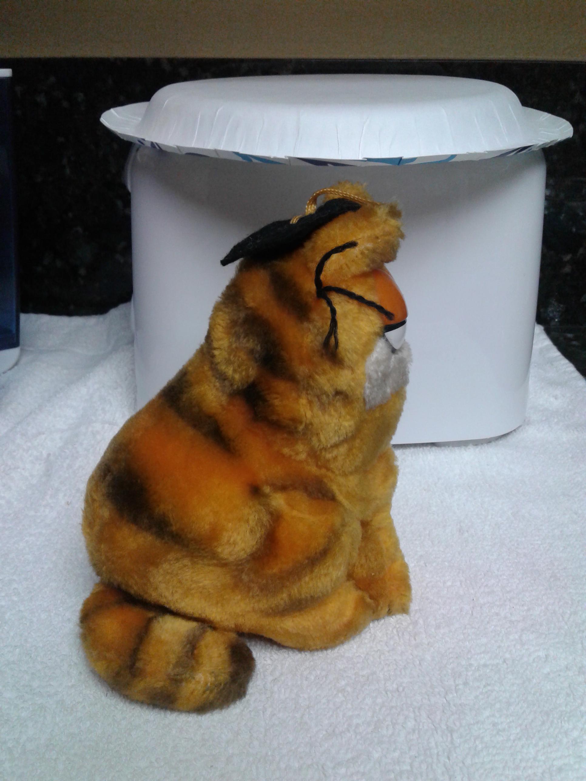 Garfield Graduate Stuffed Animal - Etsy