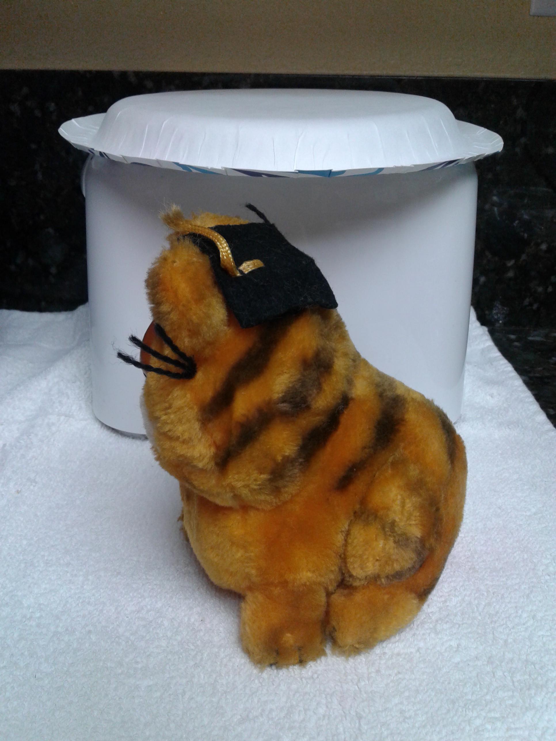 Garfield Graduate Stuffed Animal - Etsy