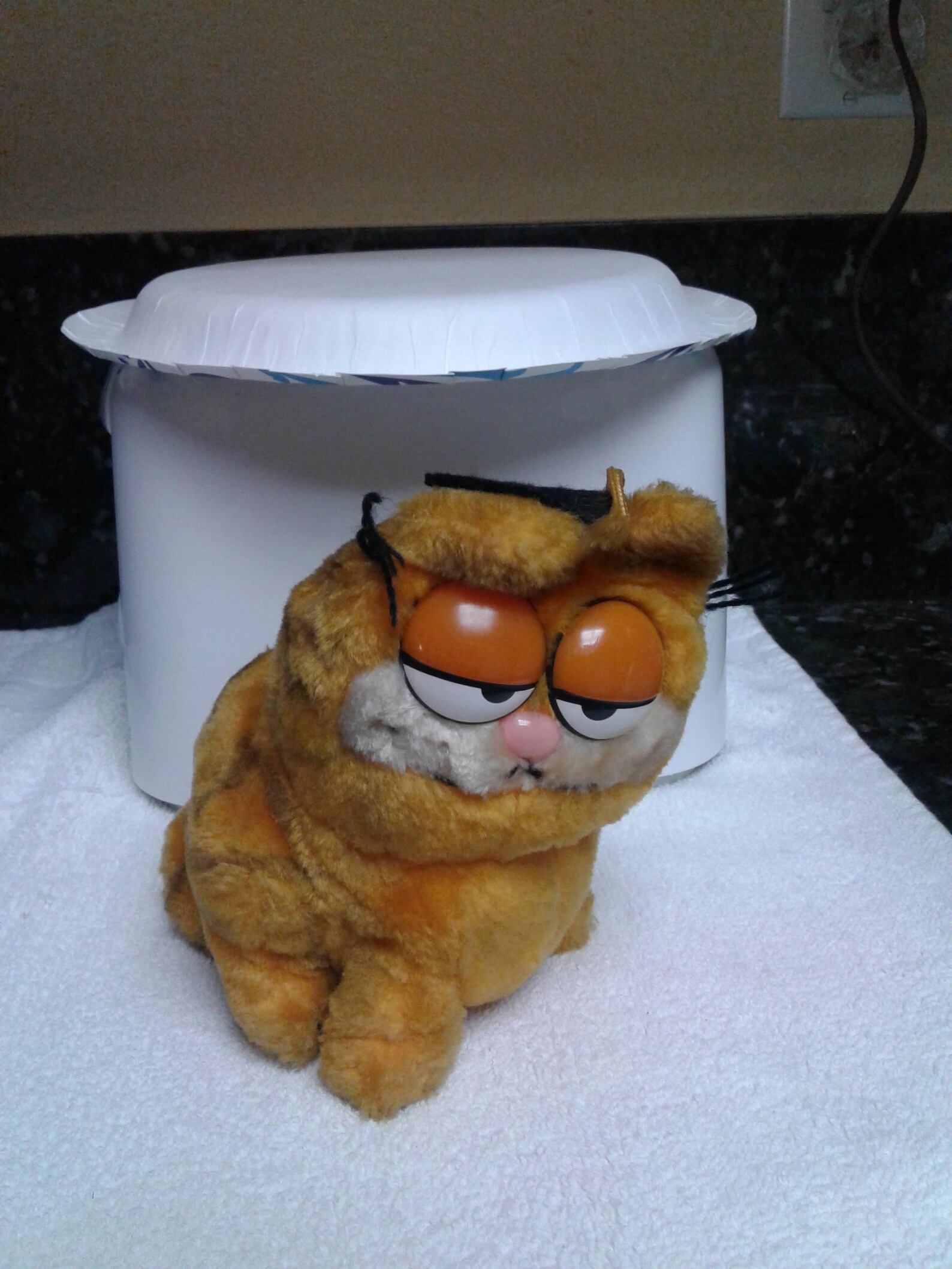 Garfield Graduate Stuffed Animal - Etsy