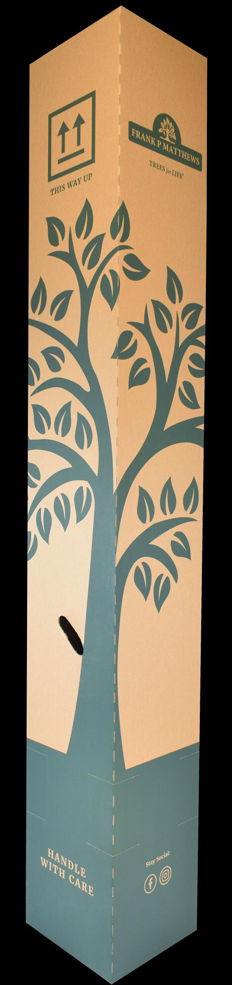Frank P Matthews Gage Tree 'old Greengage', 12L Container, St Julien A ...