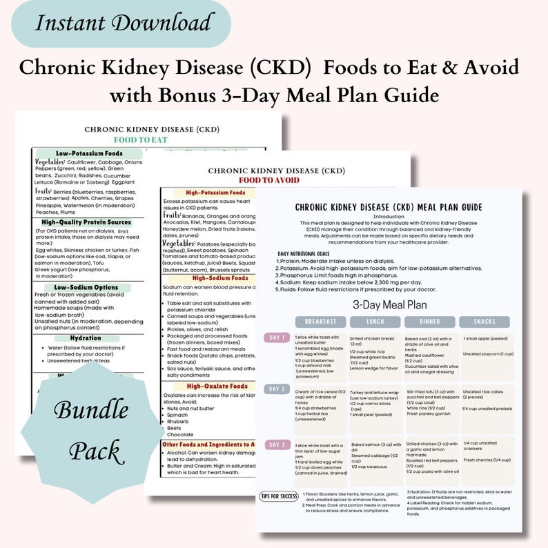 CKD Diet Guide: Foods to Eat & Avoid + Meal Plan (PDF) - Etsy