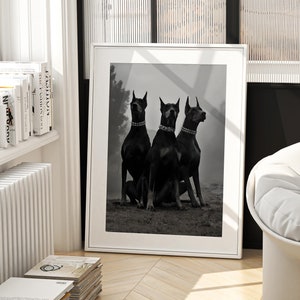 3 Doberman Poster, Black and White, Fashion Photography, Luxury Wall ...